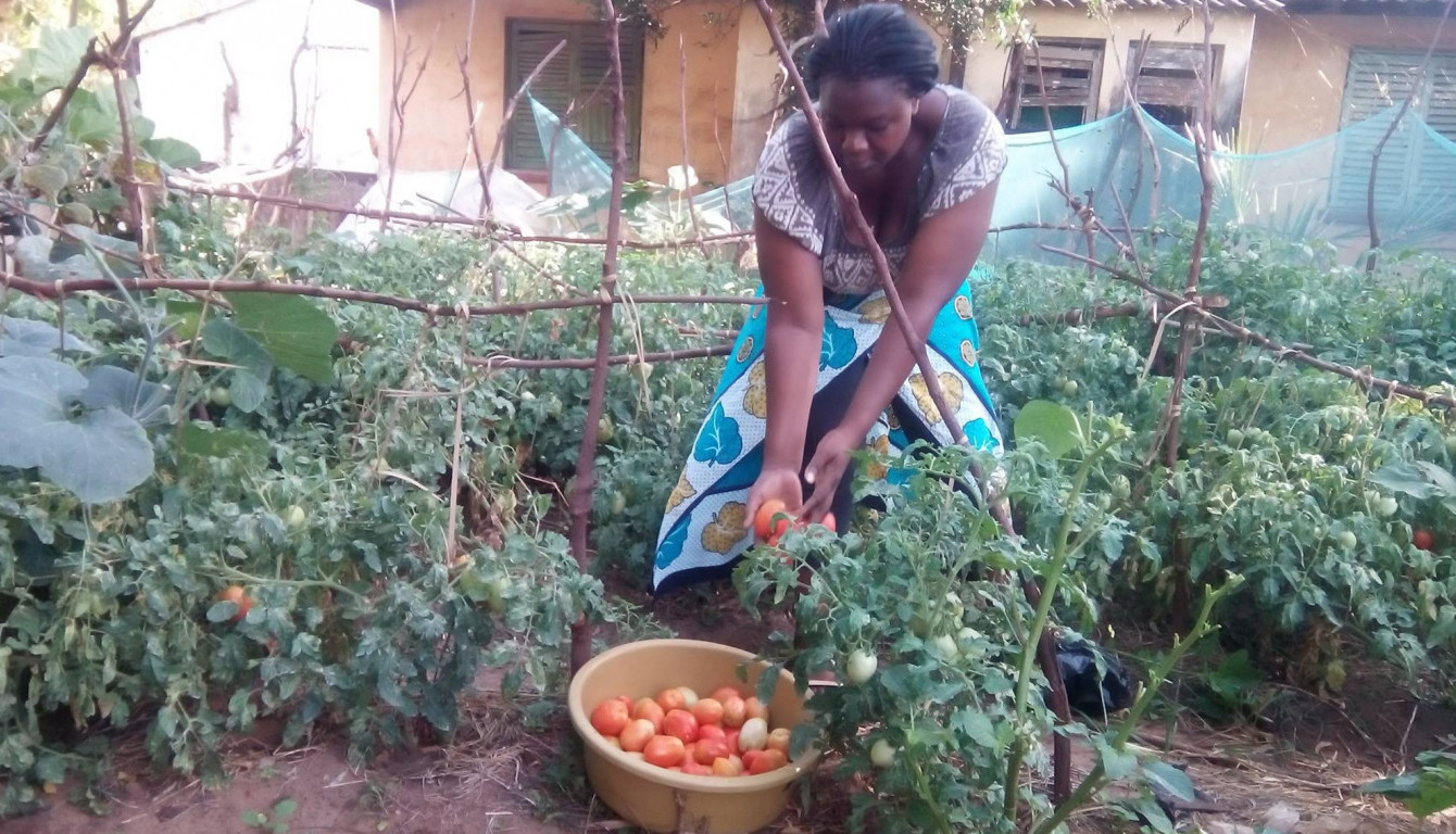 Zidisha | Lease more land for farming