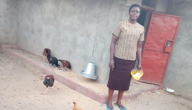 Zidisha | Small scale chicken farm