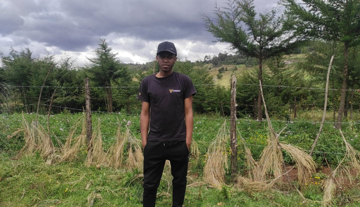 Zidisha | Potato farm expansion