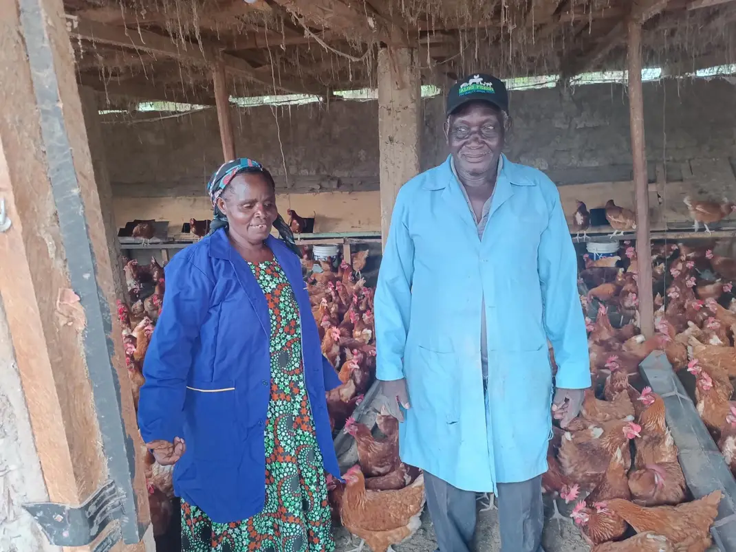 Zidisha | Poultry farming and school fees