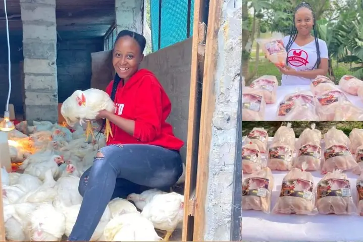 Zidisha | Invest in poultry farming