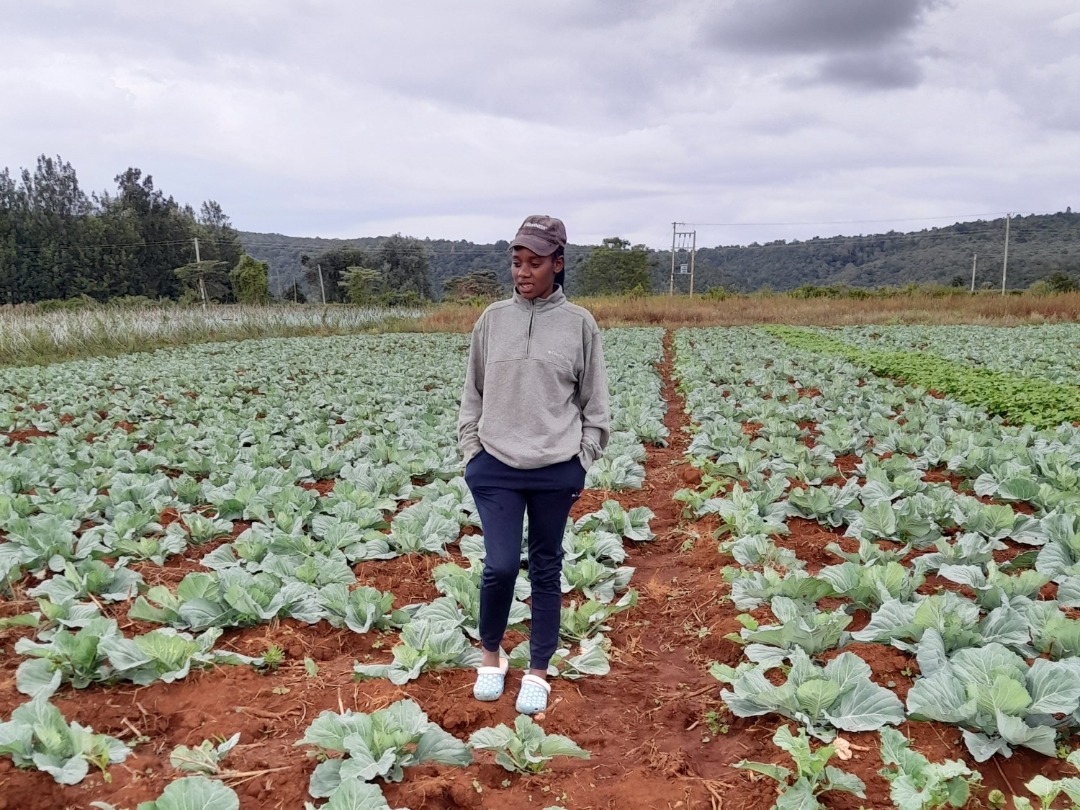 Zidisha | Super green farm