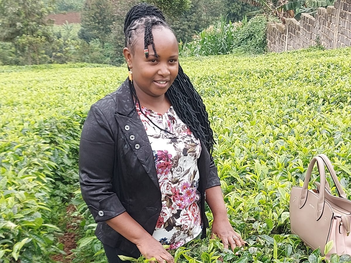 Zidisha | Tea farming