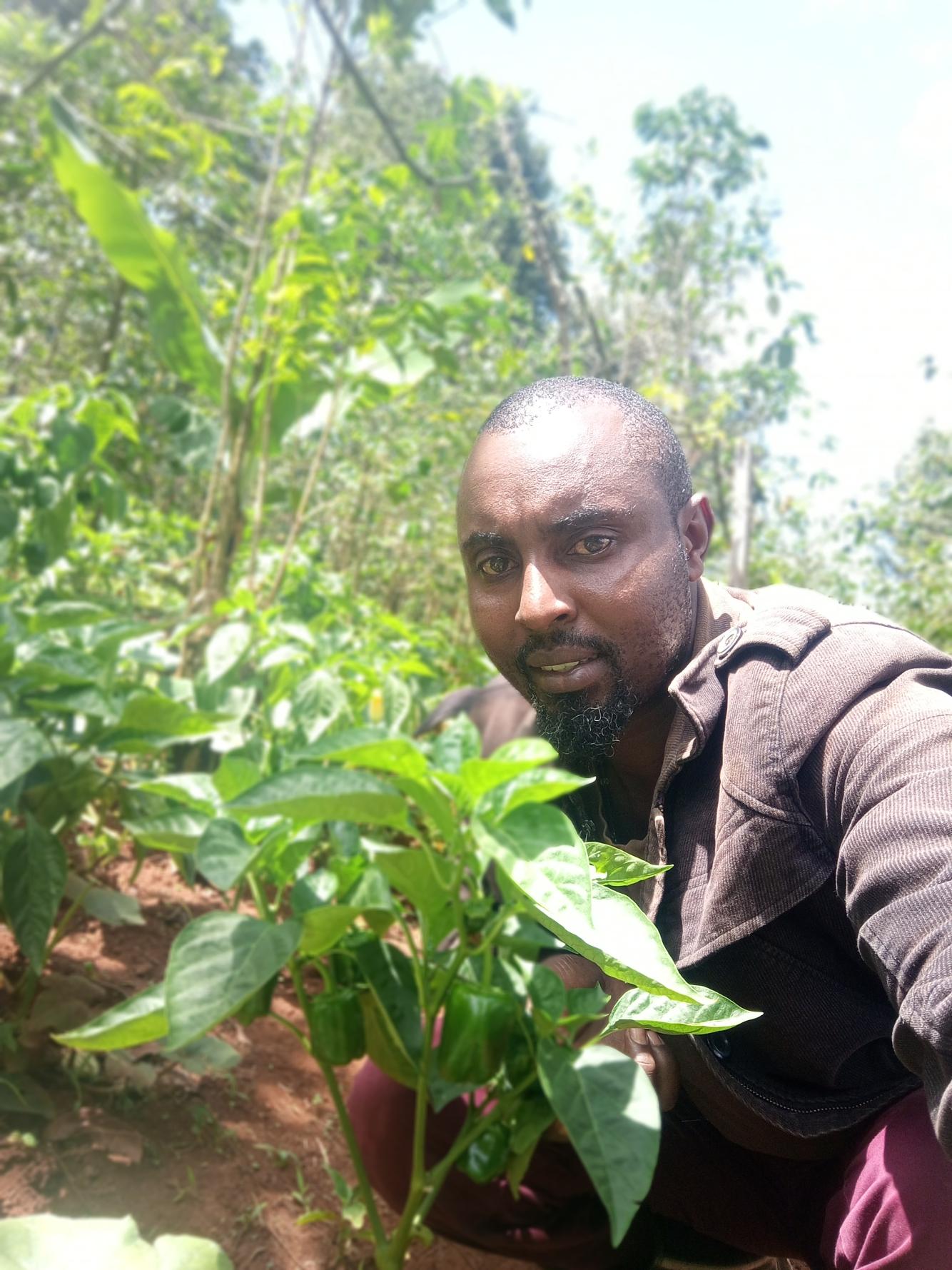 Zidisha | Farm inputs and project expansion