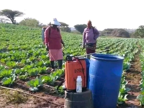 Zidisha | Irrigation system improvement