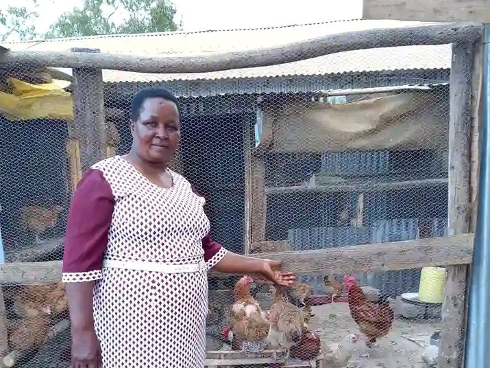 Zidisha | Expansion of chiken cage