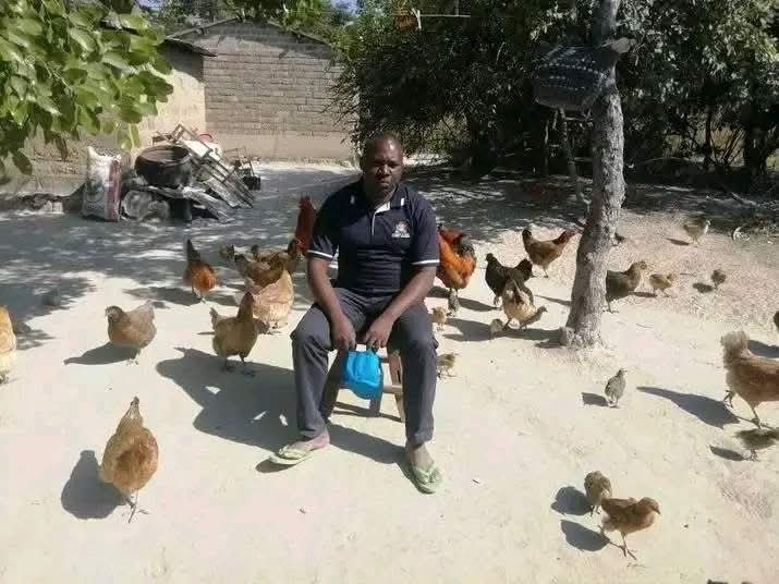 Zidisha | Adding ducks to village chicken farming