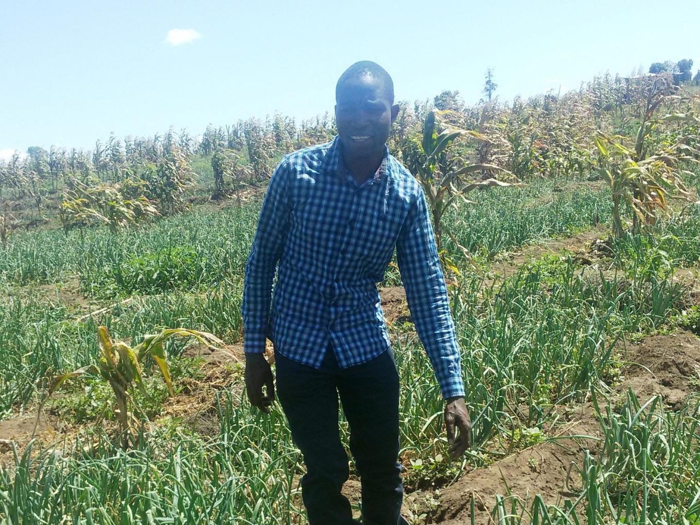 Zidisha | Fencing of the farm