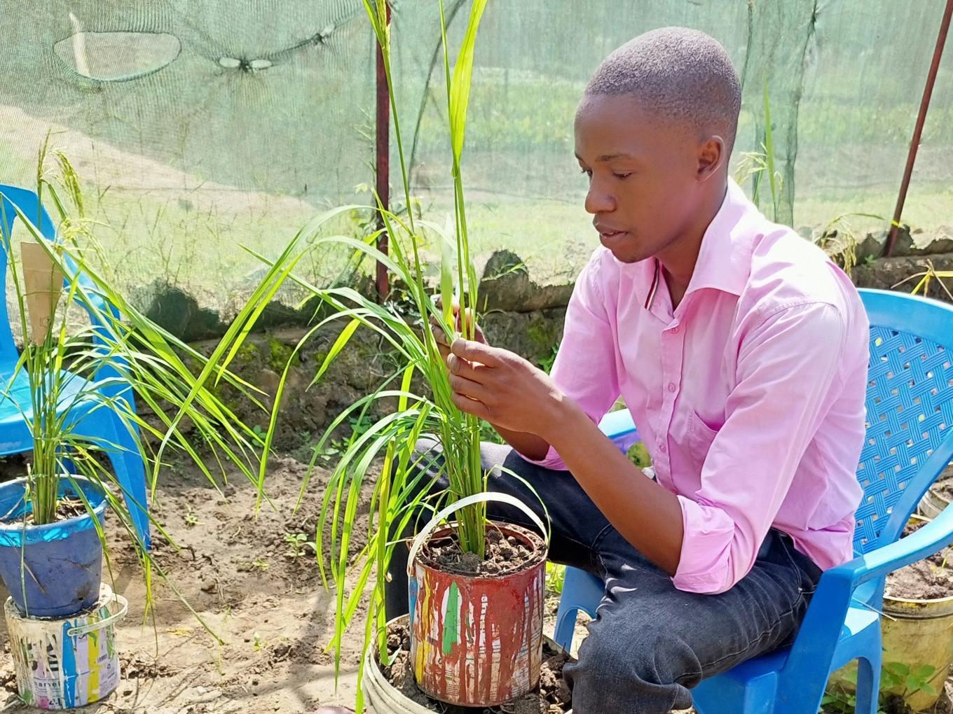 Zidisha | Tree seedlings nursery
