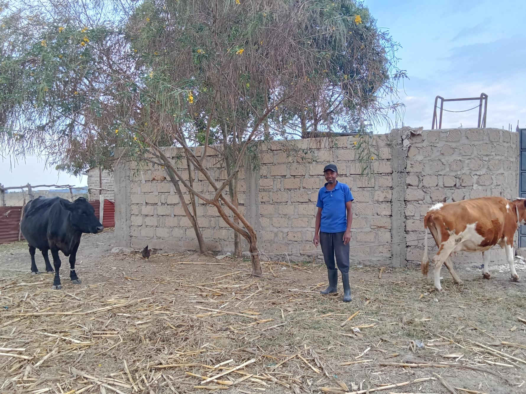 Zidisha | Amani dairy farm