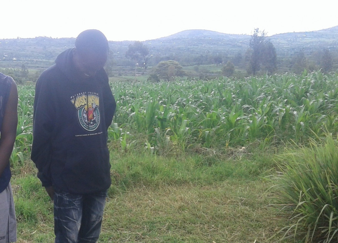 Zidisha | Maize and sugarcane for transportation